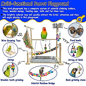 kathson Parrots Playground Bird Perch Gym Playpen Birds Chewing Toys Bridges with Swings Food Bowl for Parakeets African Grey Conures Cockatiel Cockatoos Parrotlets