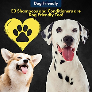 E3 Argan Conditioner with Vitamins A,C,E and F - Combines Natures Treatment Safe Sustainable Dry Damage Hair (32 fl oz)