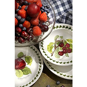 Portmeirion Pomona Collection | Set of 6 | Ceramic Dinnerware Dish Set | Microwave and Dishwasher Safe | Assorted Fruit Motifs | Made in England (Oatmeal/Soup Bowl)