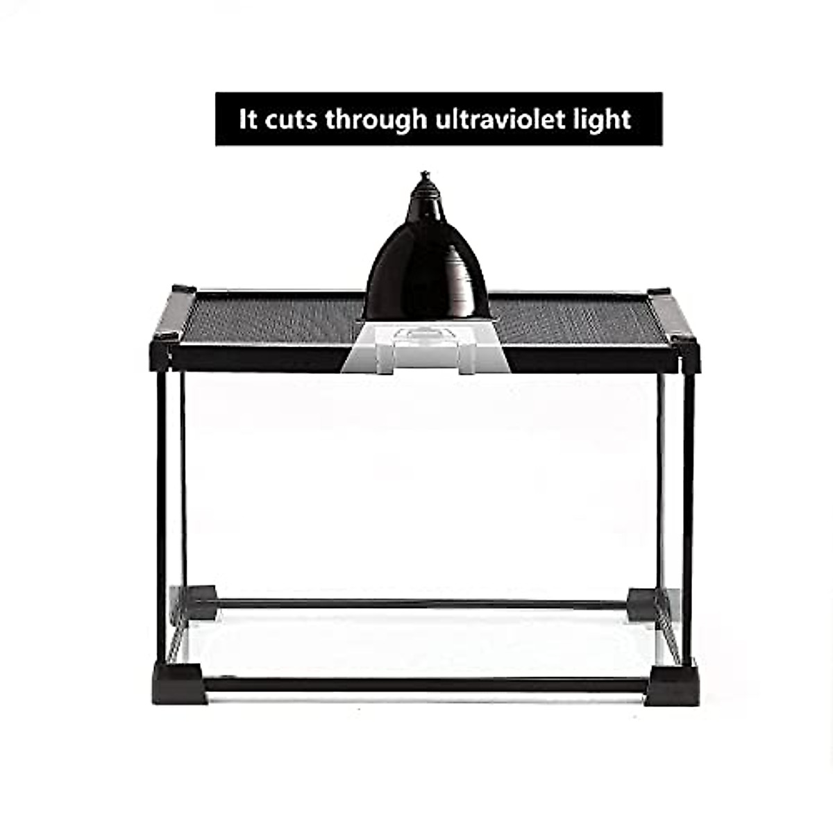 PetWoW 3 Gallon Mini Reptile Glass Tank - 12" x 8" x 8" Full View Natural Terrarium for Reptile, Amphibian, Turtle, Lizard, Snake and Frog