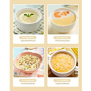 Baby Food Maker, HEYVALUE 13-in-1 Baby Food Processor Set for Baby Food, Fruit, Vegatable, Meat, Baby Food Blender with Baby Food Containers, Baby Food Freezer Tray, Silicone Spoons, Silicone Spatula (Gray)