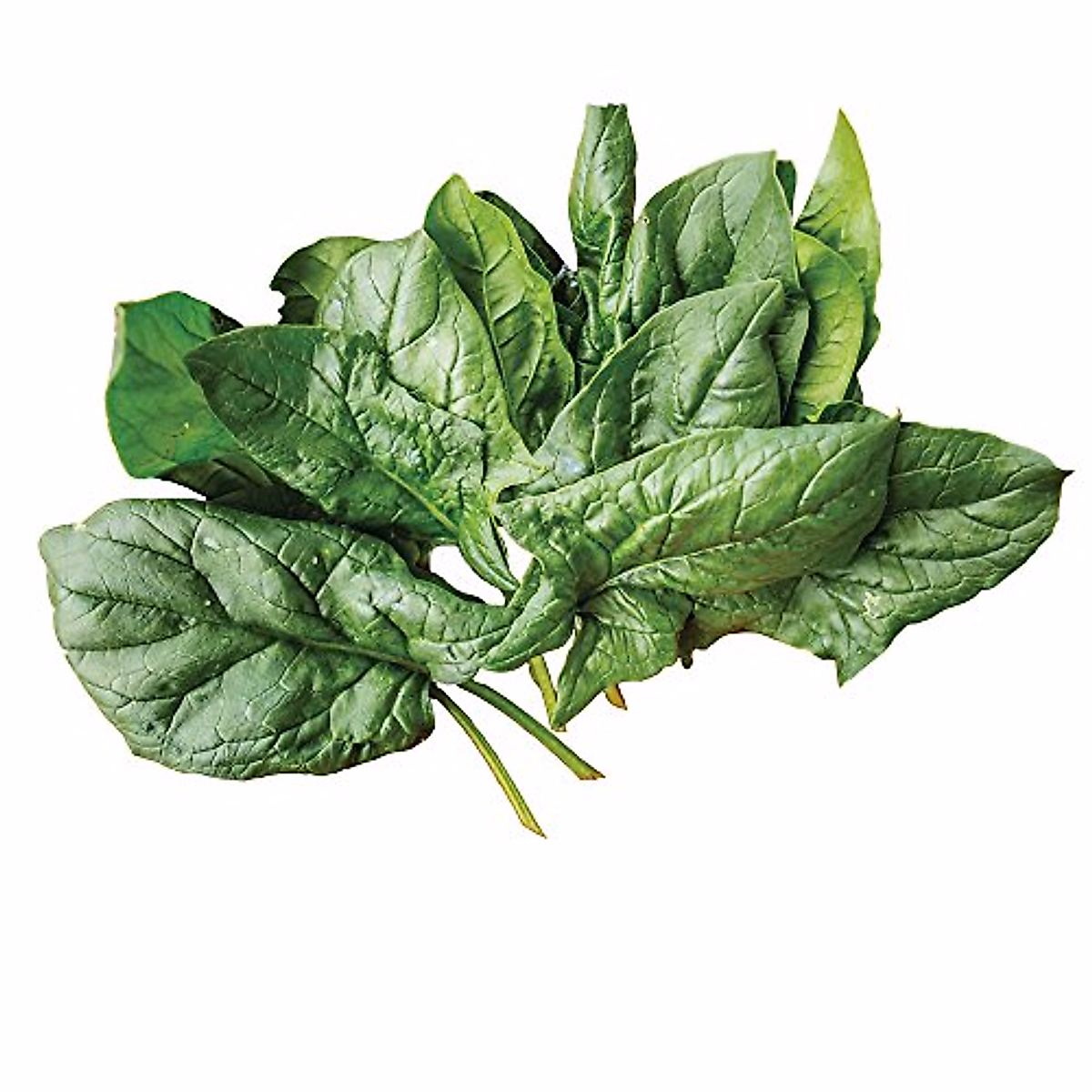 Burpee A La Carte Hybrid Spinach Seeds 300 seeds