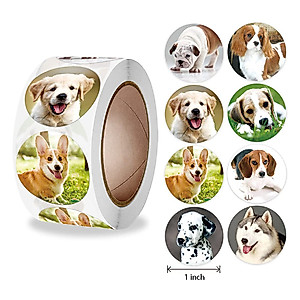 1000 Pieces Dog Stickers and Paw Print Stickers for Kids Puppy Stickers for Dog Birthday Party Supplies Decorations Adorable Labels Envelope Seal Reward Stickers 1 Inch Diameter in 14 Designs