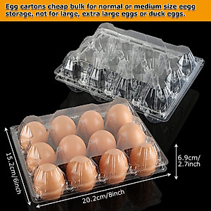 LISHINE 40 Pack Egg Cartons Cheap Bulk, Reusable Plastic Egg Cartons for Chicken Eggs, 1 Dozen Holds up to 12 Eggs, Clear Empty Reusable Egg Carton for Home Ranch Chicken Farm