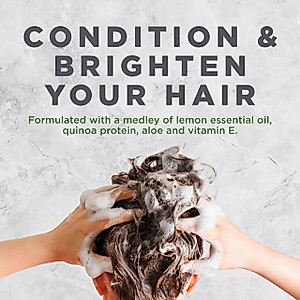 Avalon Organics Clarifying Lemon Conditioner, Removes Buildup to Restore Brightness and Shine, 11 Fluid Ounces