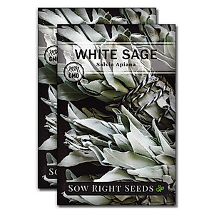 Sow Right Seeds - White Sage Seed for Planting - Non-GMO Heirloom Packet with Instructions for Planting and Growing a Home Herb Garden - Indoors or Outdoors - Make Your Own Herbal Incense (2)
