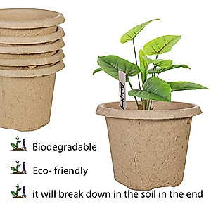 ZOUTOG Seed Starter Trays, 4 Inch Round Biodegradable Peat Pots, for Your Garden, Greenhouse or Nursery, 60 Packs, Bonus 60 Plant Labels