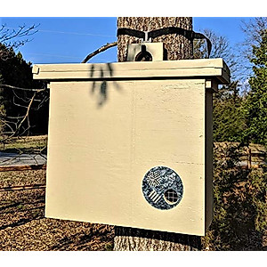 Swarm Trap Hanger - Hang Your Swarm Trap Quickly and with Confidence - NO More POUNDING in Nails! -Tree Friendly!