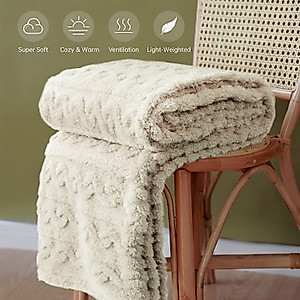 HOMRITAR Fuzzy Throw Blanket for Men Women, Decorative 3D Fleece Blankets for Unisex Kids Really Warm Fluffy Cozy Plush Fleece Comfy Flannel Blanket for Couch Sofa Bed (Beige, 50 x 60 Inch)