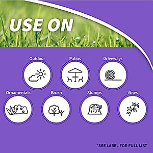 Bonide KleenUP He High Efficiency Weed & Grass Killer Concentrate, 32 oz