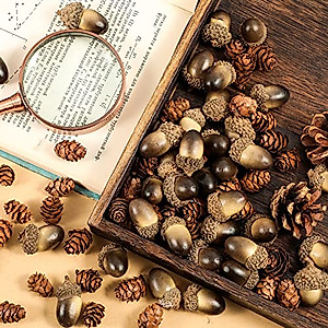 Syhood 200 Pieces Thanksgiving Natural Mini Pine Cone Artificial Acorn Pine Cone Ornament Simulation Lifelike Small Acorn with Natural Cap Fake Craft Acorn Prop for Vase Filler Autumn Winter Home