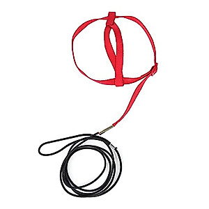 Bird Harness Leash, Parrot Training Harness Cockatiel Traction Rope for Parakeets, Macaws, Parrots, Love Birds