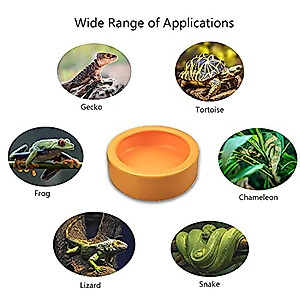 2 Pack Worm Dish Reptile Food Bowl Bearded Dragon Ceramic Bowl with Feeding Tongs (Yellow-Medium)