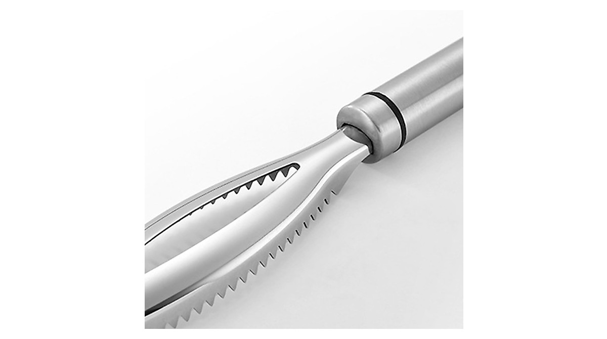 Efficient Fish Scale Removal Tool for Home & Chefs