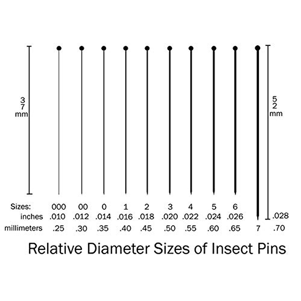 Premium Black Enameled Steel Insect Pins, Size 2, Pack of 100