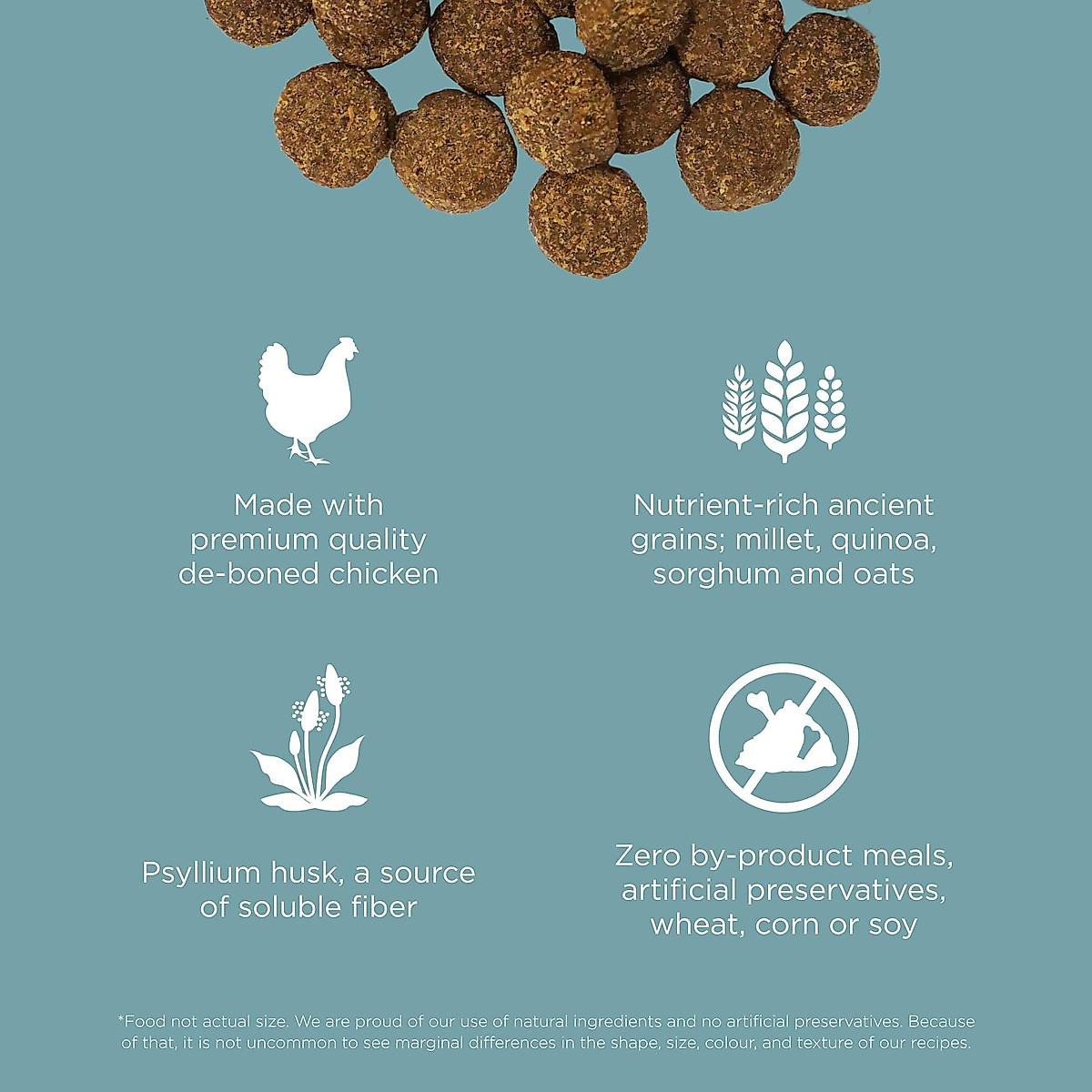 Go! Solutions Digestion + Gut Health, Dry Dog Food, Chicken Recipe with Ancient Grains, 3.5 lb Bag