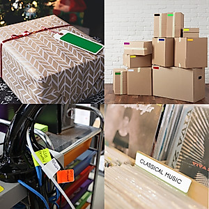 Royal Green Rectangular Colored Sticker 1x3 inch (7.5cm x 2.5cm) Neon Green Labels on a Roll 250 Pack