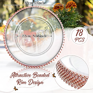 18 PCS Clear Charger Plates with Beaded Rim 13 Inch Plastic Round Charger Plates Bulk Acrylic Round Dinner Plate Chargers Decorative Plates for Home Kitchen Party Wedding Tabletop Decor(Rose Gold)
