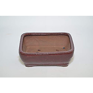 Bonsai Ceramic Pot 6" Rectangle Shape, Burgundy Color with draining Holes.