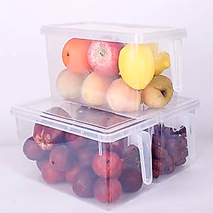 PENGKE Plastic Food Storage Container with Lid and Handle,Food Storage Organizer Box Fresh Box for Kitchen Refridgerator Fridge Desk Cabinet Food Storage,Holds Fruit Eggs Vegetables,5L Pack of 4