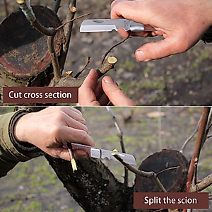 BaiCarre Pruning Knife,Grafting Knife, Stainless Steel Garden Budding Knife, Folding Pocket Knife for Grafting Multi Cutting Tool, Weed Bushes Branches Mushroom Diggig Knife