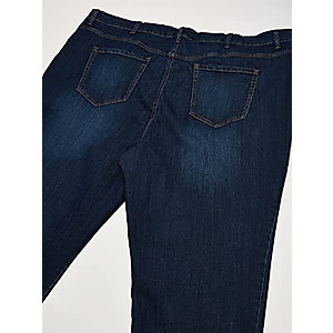 Gloria Vanderbilt Women's Petite Amanda Classic High Rise Tapered Jean, Scottsdale Wash, 14P