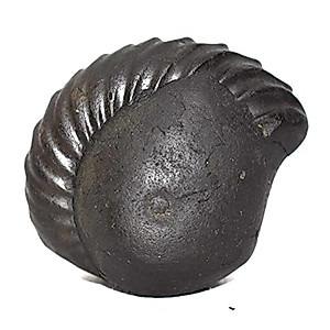 Dhumavati Shaligram/Adwaitya Golden Dhumavati Dasha MahaVidya Shaligram, Fossil, Fossil