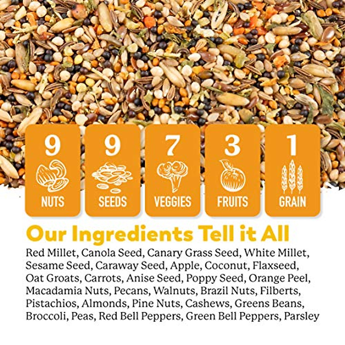 Dr. Harvey's Incredible Canary Food, Wholesome Seeds, Nuts, Fruits, and Vegetables Bird Feed for Singing Canaries, Trial Size (4 Oz)