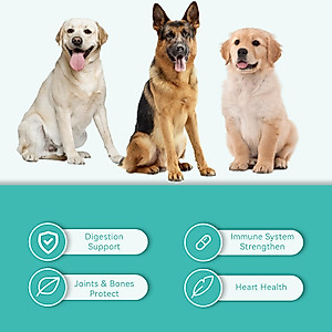 Omega-3 Multivitamin Skin and Coat Supplement for Dogs Omega 3 Fish Oil Supplement, Supports Shedding, Skin & Coat, Immunity, EPA,DHA (Heart,Bone, Multivitamin)