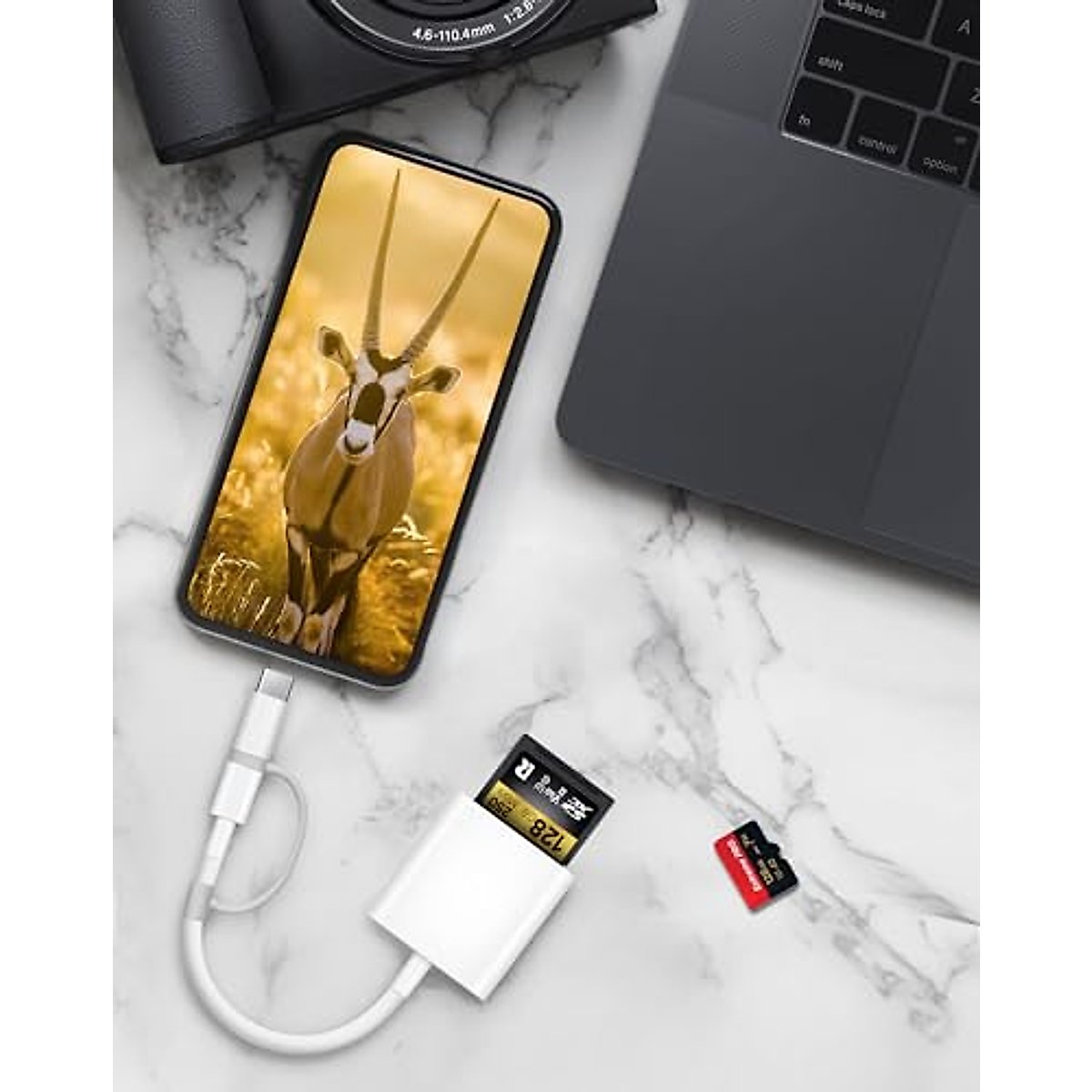 SD Card Reader for iPhone iPad, Dual Connector Memory SD Card Adapter, Support SD/MicroSD Cards, High-Speed Digital Trail Camera to iPhone Viewer, Plug and Play - White