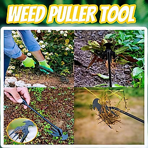 Joicim Weed Puller Tool, Weeding Artifact Uprooting Removal Tool, 4 Teethes Dual Purpose Manual Weeders, Multifunctional Tools for Garden Weeding (2PCS 12IN)