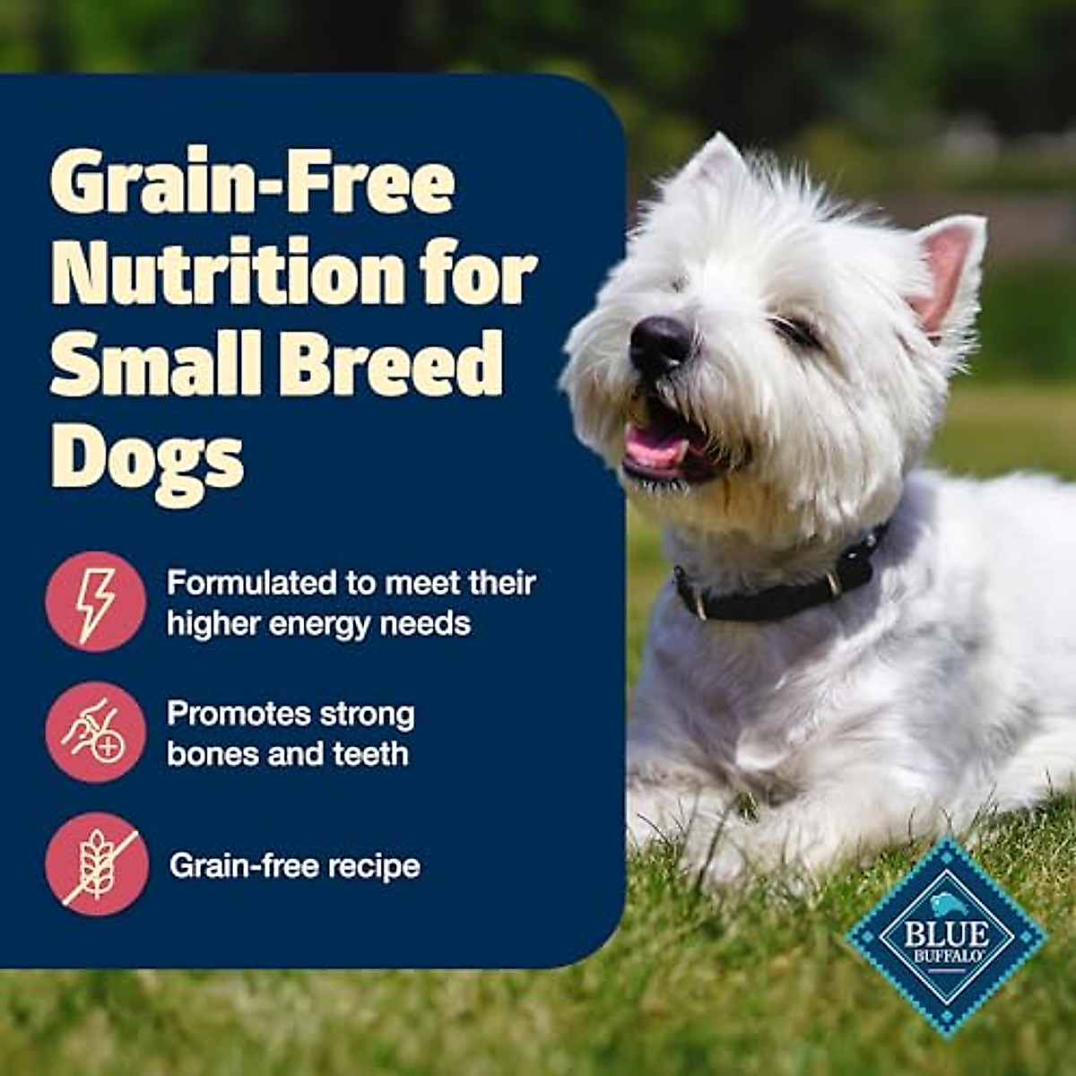 Blue Buffalo Freedom Grain-Free Small Breed Dry Dog Food, Supports High Energy Needs, Made in the USA With Natural Ingredients, Chicken & Potatoes, 4-lb. Bag