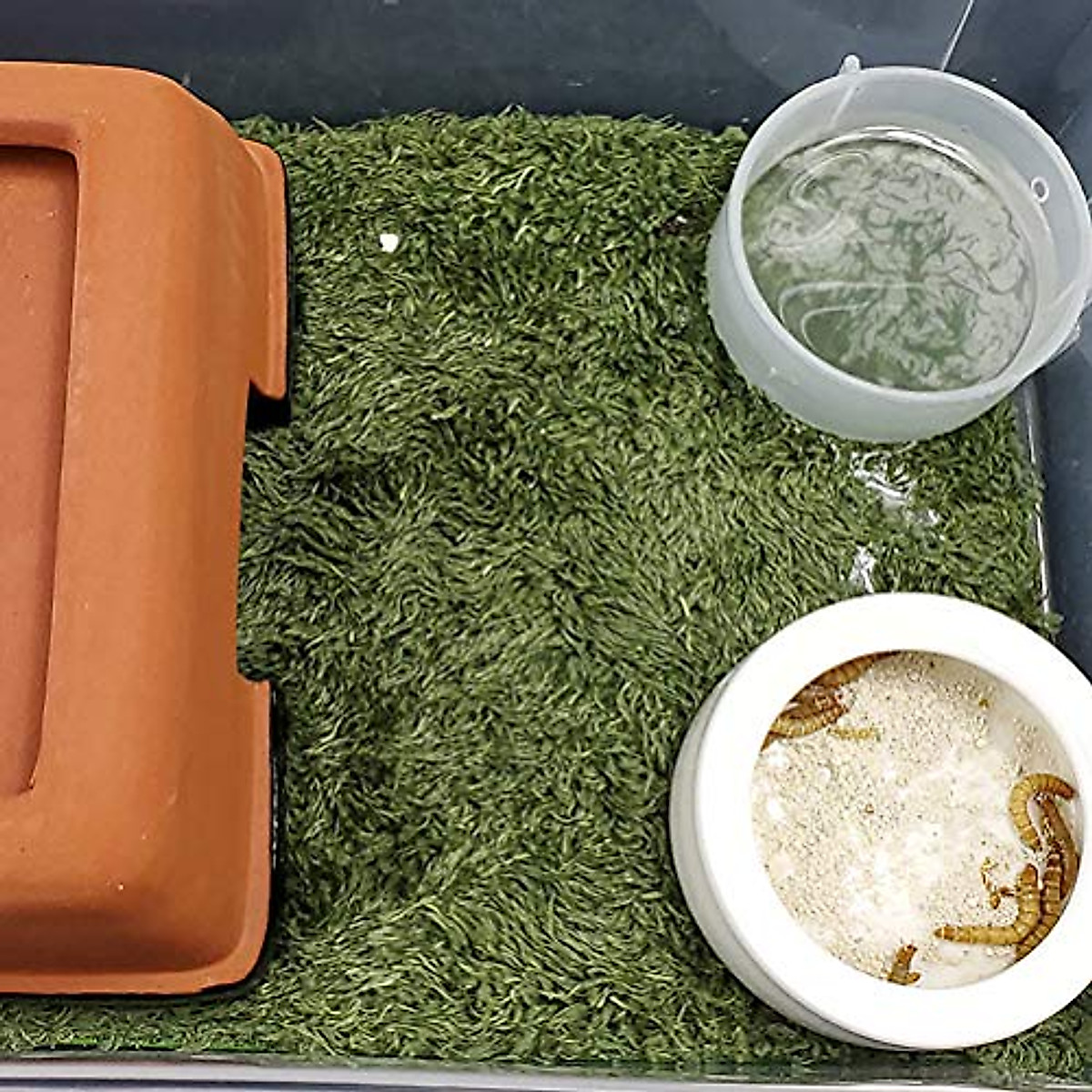 kathson 2pcs Reptile Carpet Terrarium Liner Tortoise Bedding Reptile Substrate Liner Mat Pet Cage Mats Supplies for Lizard Snake Bearded Dragon Gecko Chameleon Turtle Iguana (11.81 X 7.87 in)