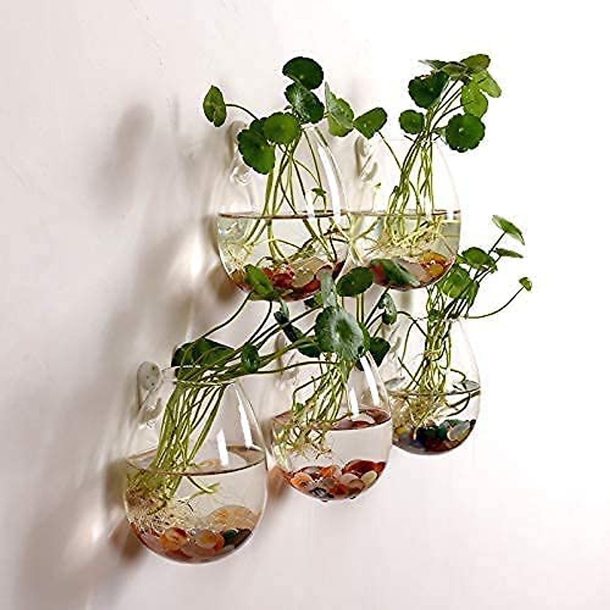 Fashiostorm 5 Packs Wall Hanging Planters Glass Plant Pots Water Containers Flower Air Terrariums Terrarium, Clear