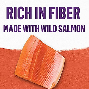 Purina Beyond Natural Cat Food Complement, Mixers+ Digestive Support Wild Salmon & Pumpkin Recipe - (16) 1.55 oz. Pouches