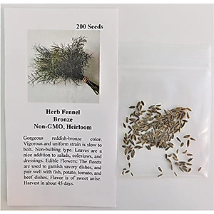 David's Garden Seeds Herb Fennel Bronze 3123 (Bronze) 200 Non-GMO, Heirloom Seeds