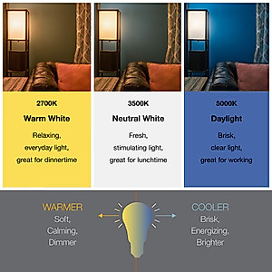 Sylvania LED R20 Flood Light Bulb, 50W = 5W, 10 Year, Dimmable, Frosted Finish, 325 Lumens, 5000K, Daylight - 2 Pack (73991), Cool White