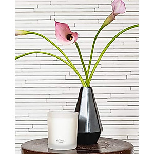 Apotheke Signature Amber Woods Candle, 1 EA