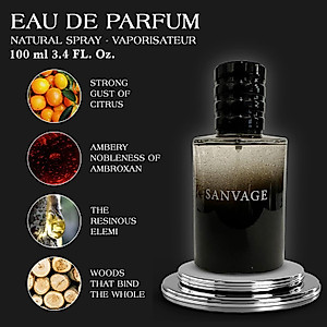 Macarena SANVAGE BY LR BRANDS 3.4 OZ EDT FOR MEN