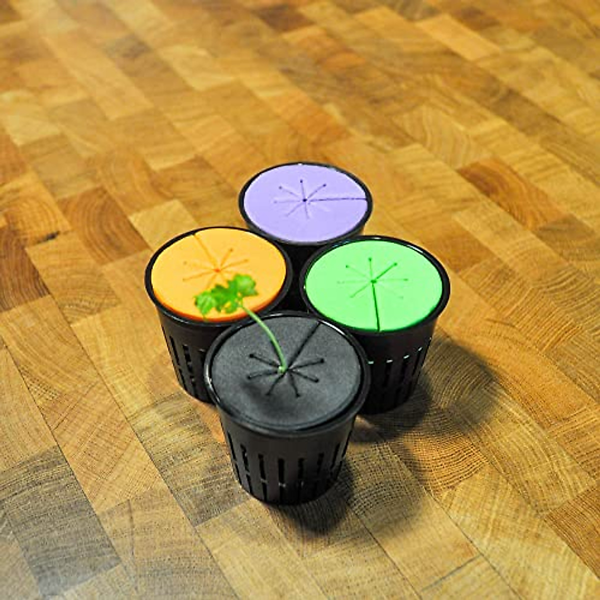 xGarden Neoprene Clone Collars - 30 Pack Cloning Collars, 2" Inch, Multi-Color - DIY Foam Cloner Inserts for Net Pots, Hydroponics, Aeroponics