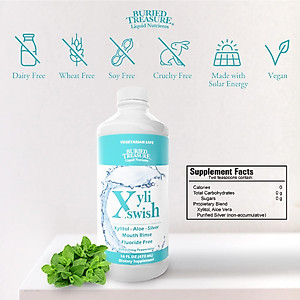 Xyli Swish - All Natural Formulated Nano Silver, Xylitol & Aloe Mouthwash - Alcohol and Fluoride Free - Oral Rinse to Fight Bad Breath & Dry Mouth - Peppermint Flavor - 16oz.