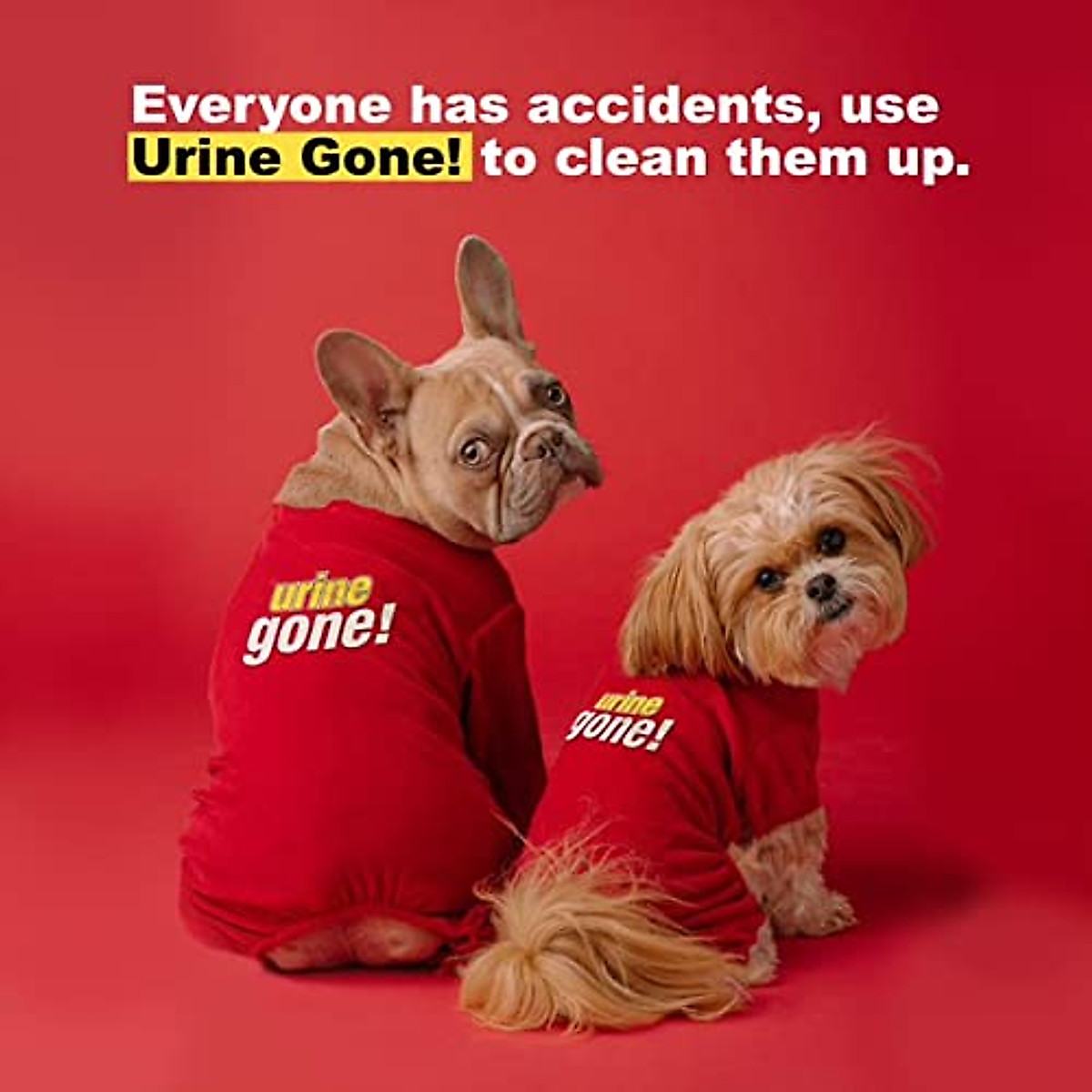 Urine Gone Stain & Odor Eliminator: Professional Strength Fast-Acting Enzyme-Based Solution, Instantly Penetrates and Neutralizes into the Fibers of a Carpet, Stops Pets from Remarking