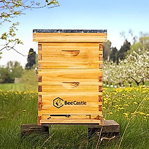 BeeCastle 10-Frames Complete Beehive Kit, 100% Beeswax Coated Bee Hive Includes Beehive Frames and Beeswax Coated Foundation Sheet (2 Layer)