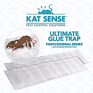 Kat Sense Sticky Rat Traps 'N Mouse Glue Traps That Work for Trapping Snakes Spiders Roaches N Other Rodents, 2 XL Large Heavy Duty Clear Pre Baited Mats, Indoor Outdoor Non Multi Catch Pest Trap