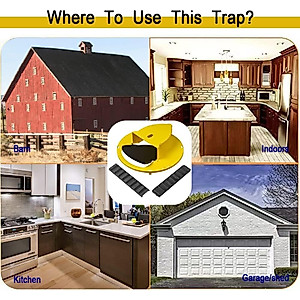 Mice Mouse Trap Bucket Flip Lid,Mouse Trap Bucket Indoor Outdoor,Humane Mouse Trap,Mouse Trap Bucket Lid Auto Reset | 5 Gallon Bucket Compatible | Mouse Trap Bucket Lid (1 Pack)