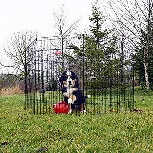 Lucky Dog Modular Pet Play Pen