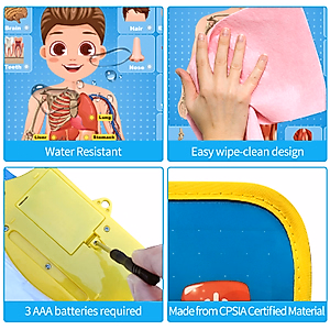 JOYLEARN My Body Interactive Educational Poster for Toddlers and Kids to Learn Body Parts, Organs, Muscles and Bones, 16'' x 22''