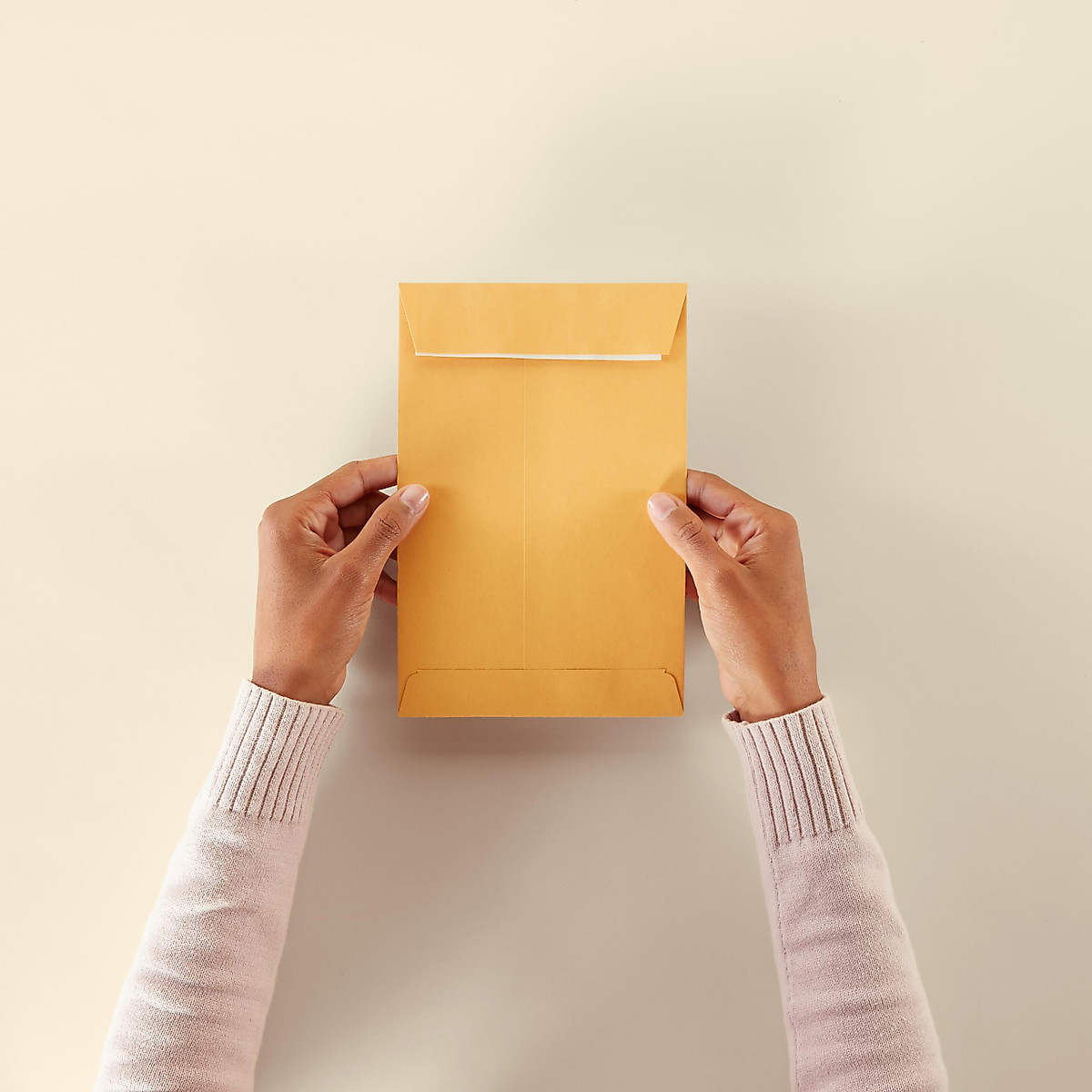 Amazon Basics Catalog Mailing Envelopes, Peel & Seal, 6x9 Inch, Brown Kraft, 100-Pack