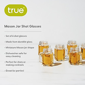True Mason Jar Shot Glasses, Mini Mason Jar Shot Glasses with Handle, 1 Ounce Shot Glass, Set of 6, Glass