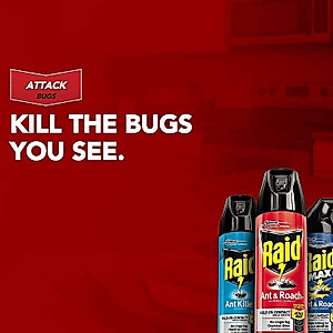 Raid Ant and Roach Killer 17.5 Ounce (Pack of 4)